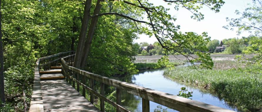 Why You Should Live in Clarkson • The Village Guru