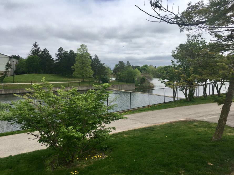 The Meadowvale Community Centre • The Village Guru