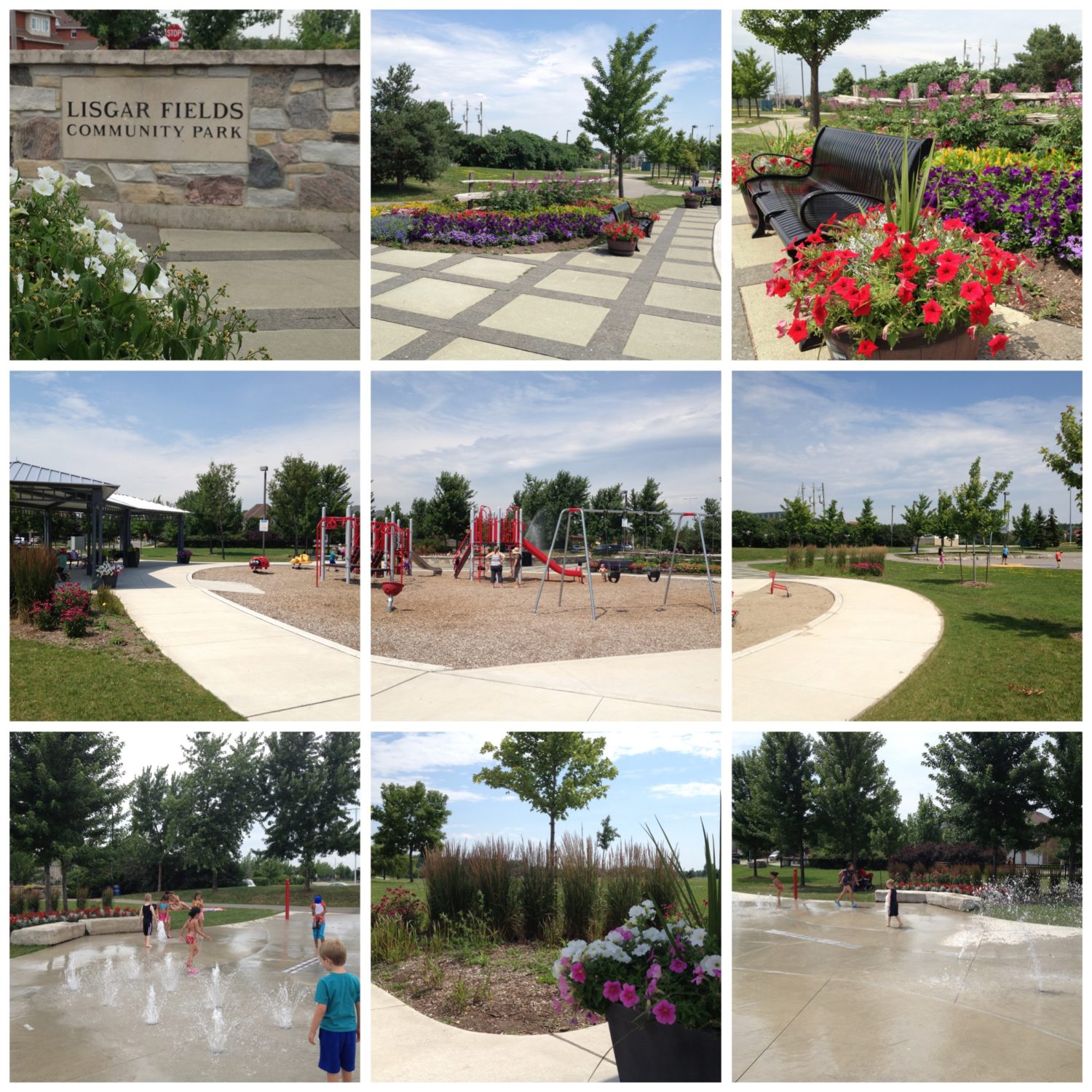Why You Should Live in Lisgar • The Village Guru